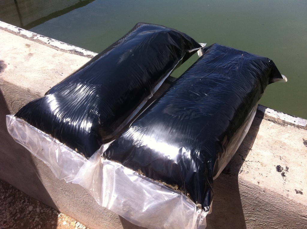 Bitumen Packaging EVA Packaging Film 0.035mm 35 Micron Hot Melt ...